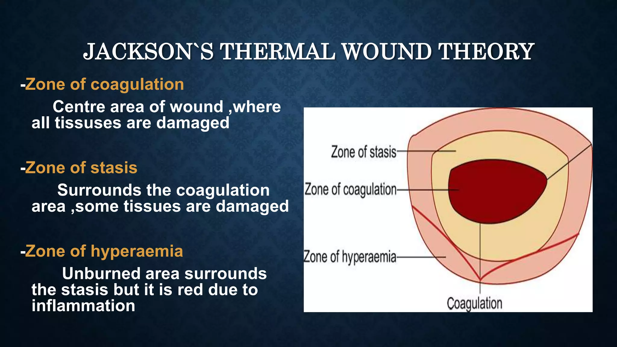 Pathophysiology and complications of burn | PPTX