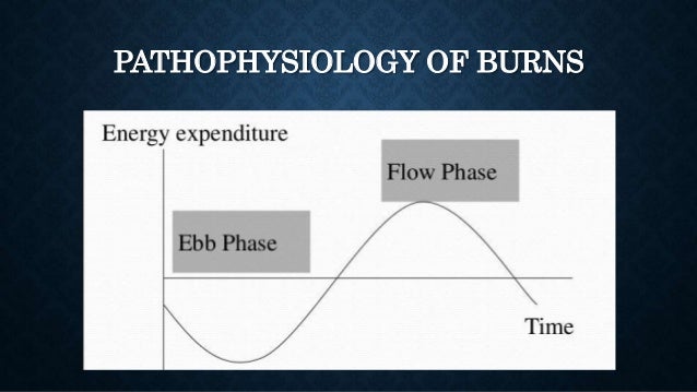 Pathophysiology and complications of burn