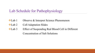 Pathophysiology Course Retreat.pptx