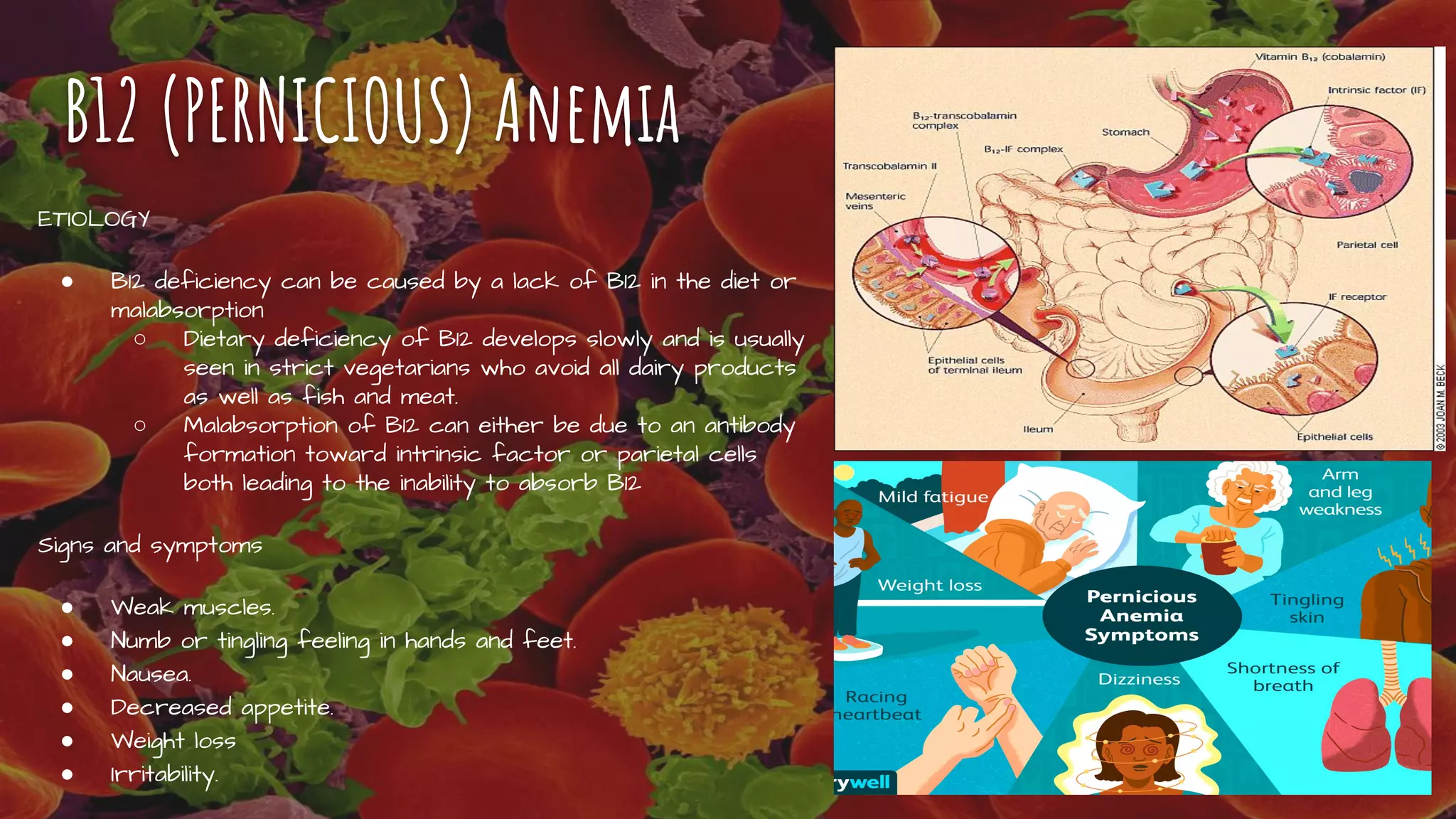 Pathophysiology Disease Project - Anemia | PDF