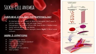 Pathophysiology Disease Project - Anemia | PDF