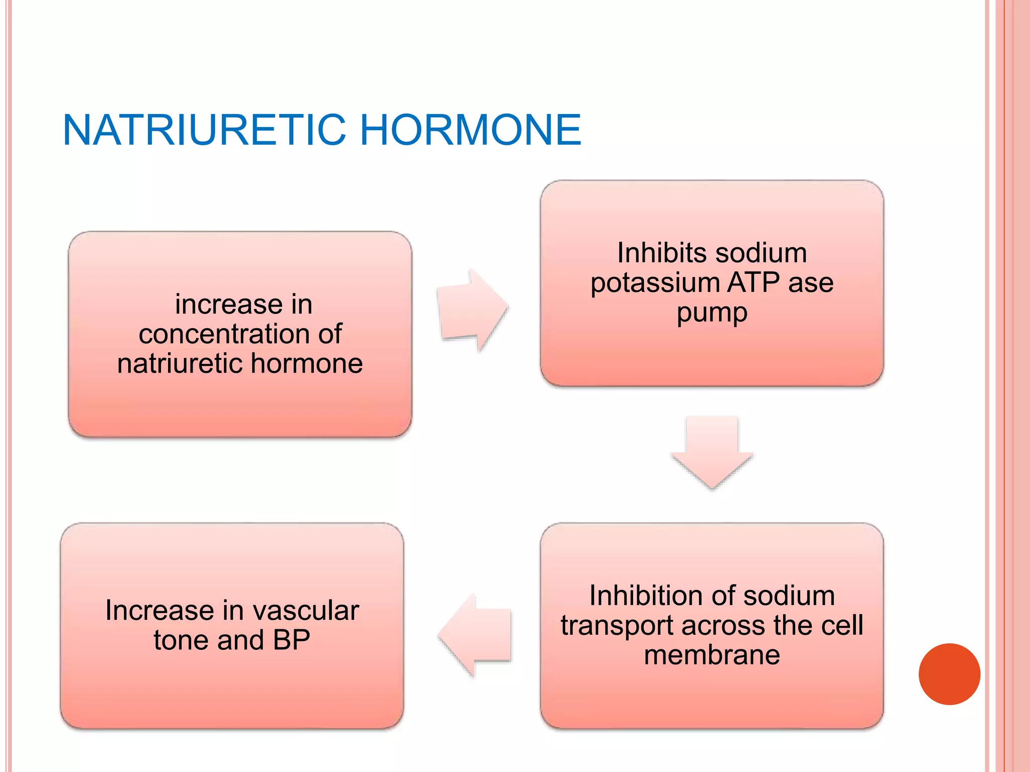 Pathophysiology of hypertension | PPTX