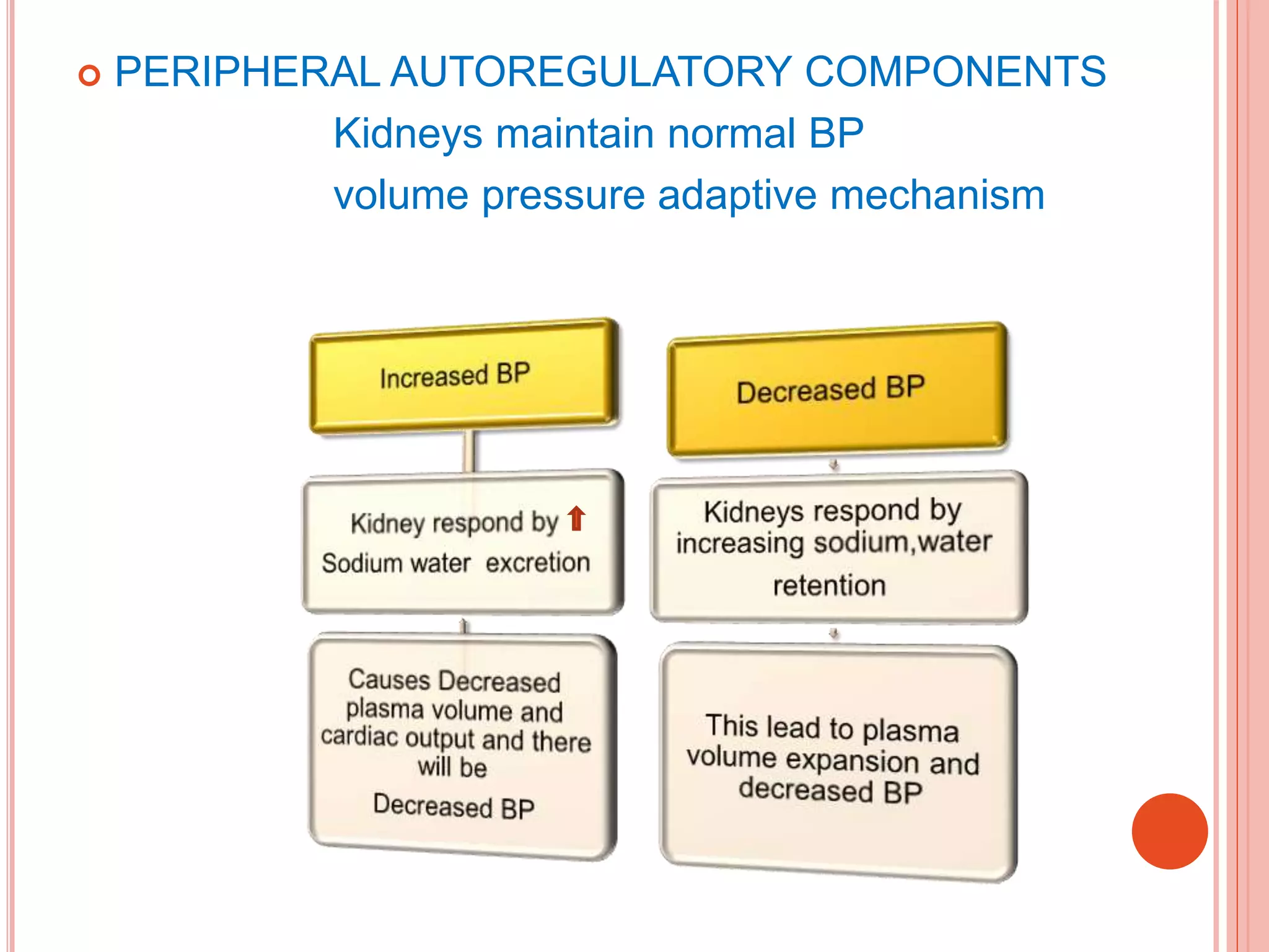 Pathophysiology of hypertension | PPTX