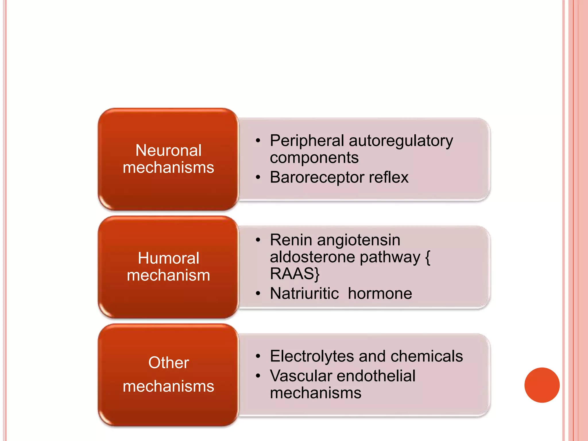 Pathophysiology of hypertension | PPTX