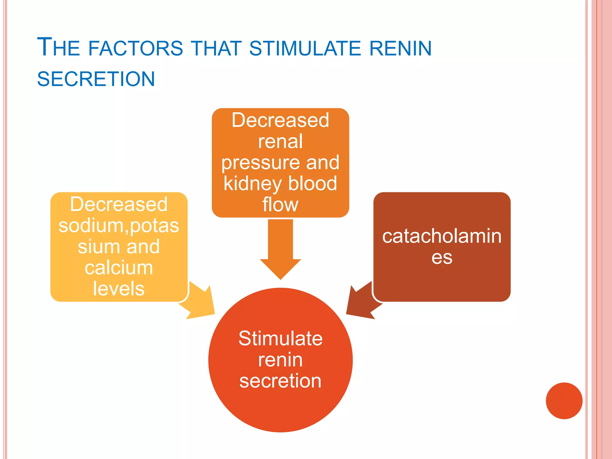 Pathophysiology of hypertension | PPTX