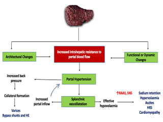 pathophysiology liver cirrhosis persention.pdf