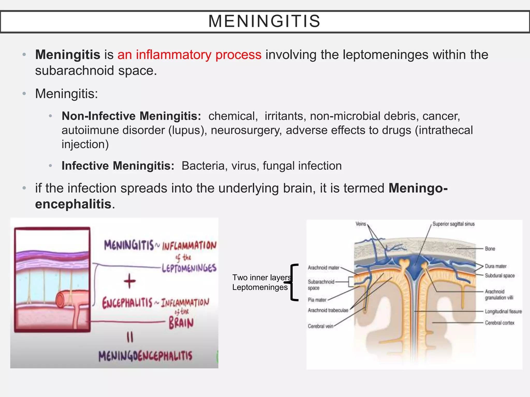 Pathophysiology meningitis | PPTX
