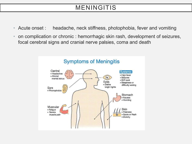 Pathophysiology meningitis | PPTX | Infectious Diseases | Diseases and ...