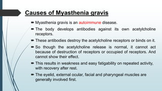 Pathophysiology (Myasthenia Gravis)...pdf