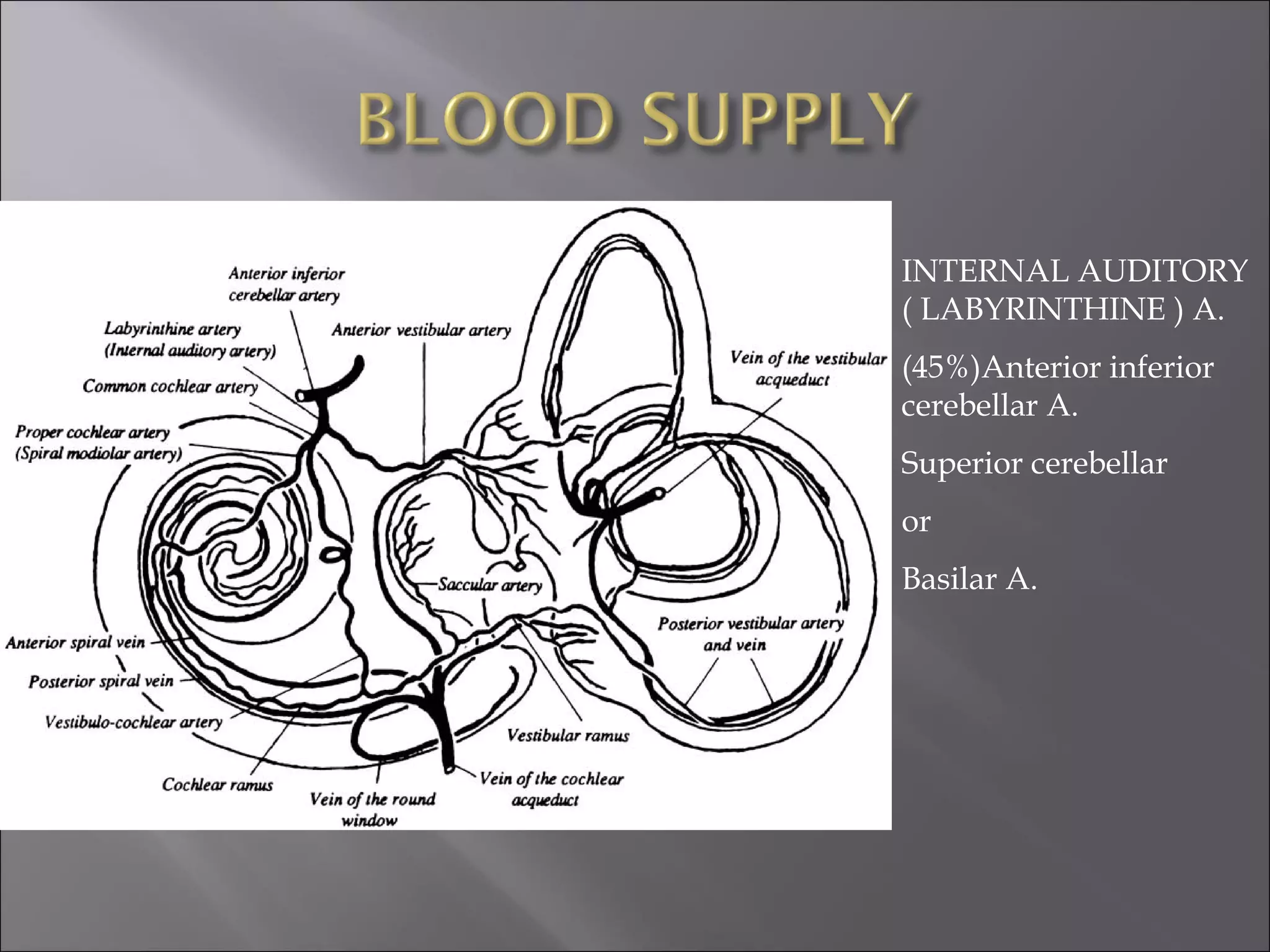 Pathophysiology of vestibular system | PPT