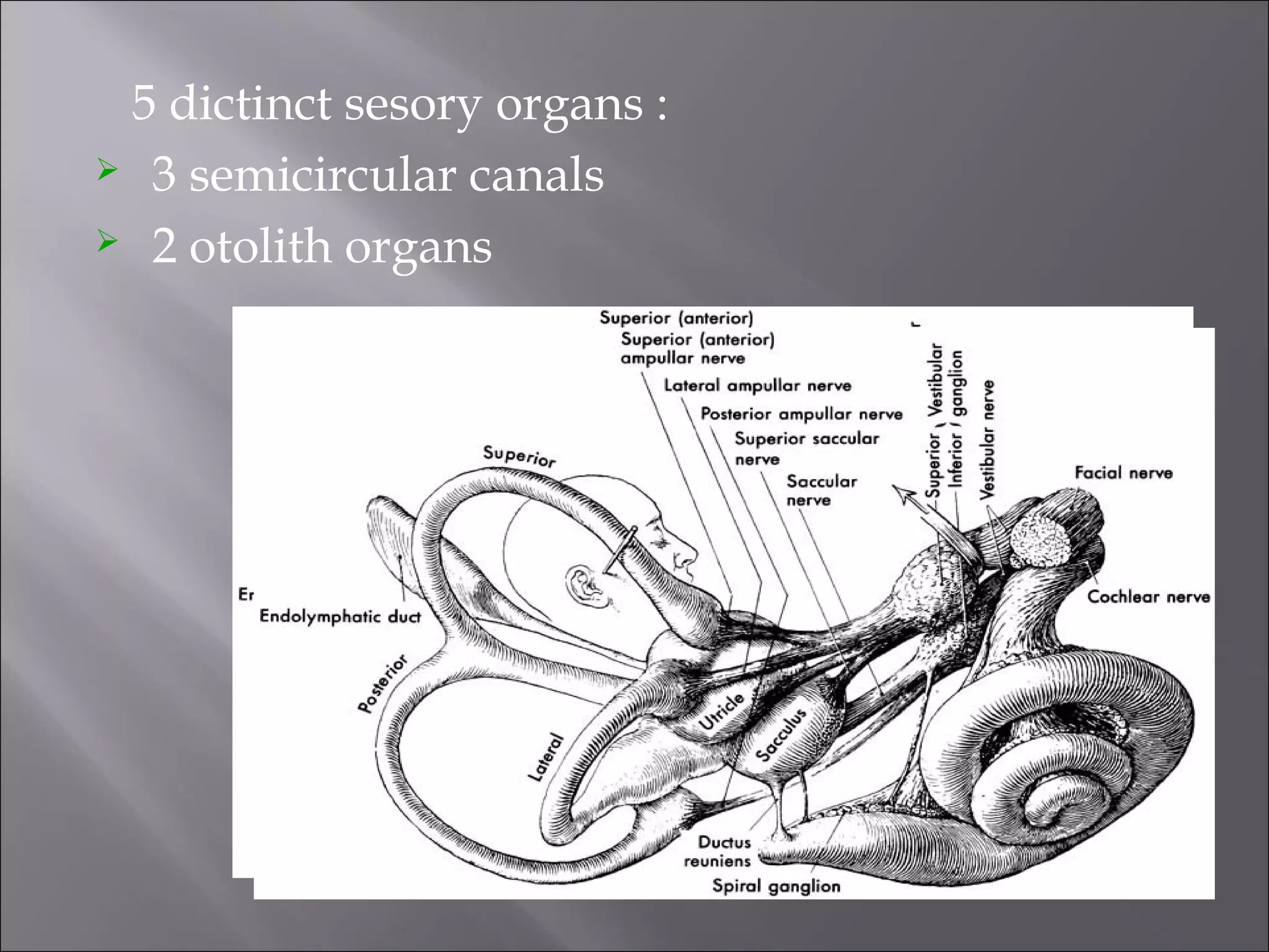 Pathophysiology of vestibular system | PPT