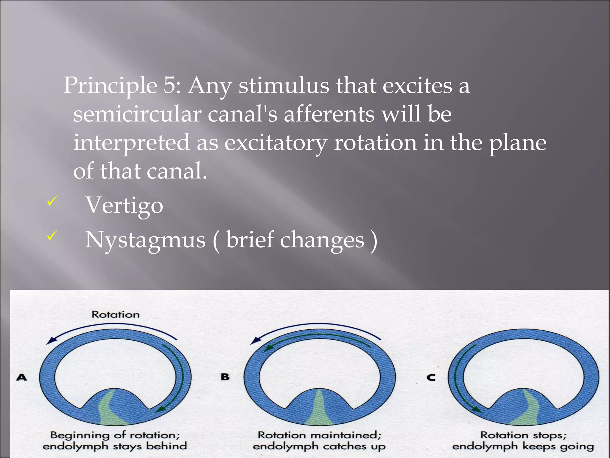 Pathophysiology of vestibular system | PPT