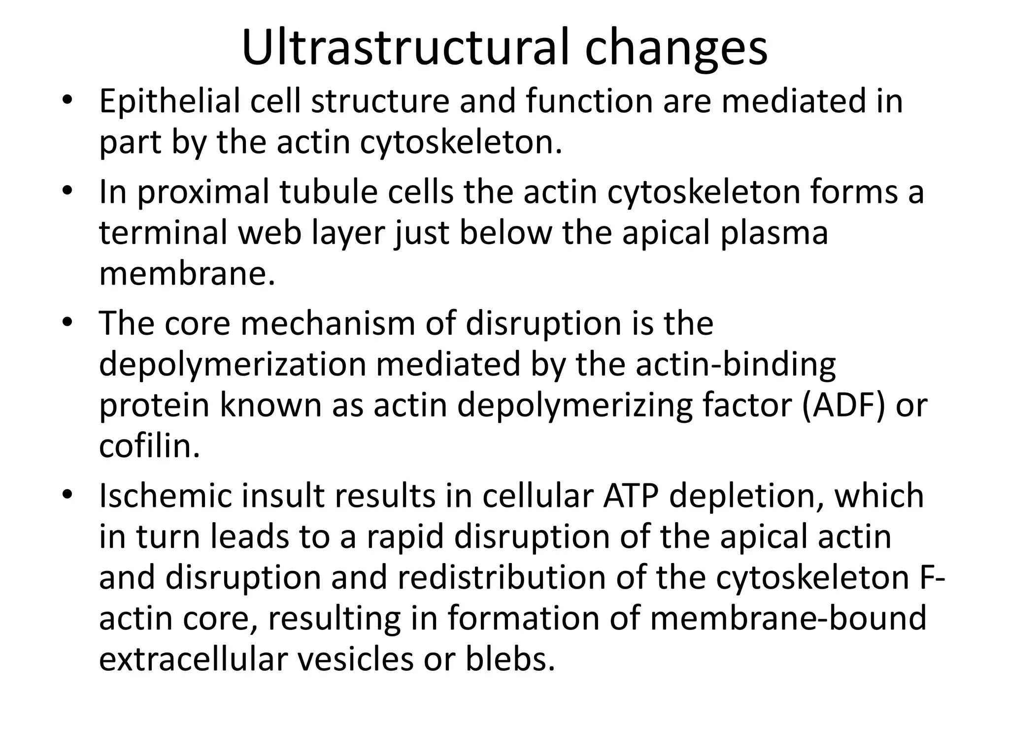 Pathophysiology of acute kidney injury | PPTX