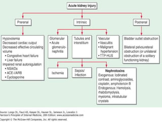 Acute Kidney Injury Pathophysiology Of Aki Kidney Failure Disease