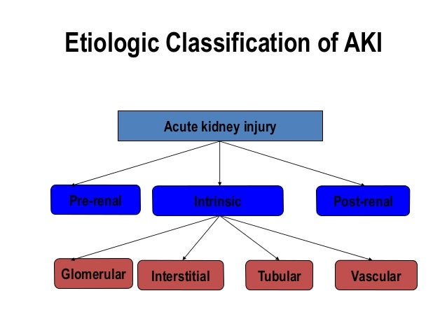 Pathophysiology of acute kidney injury