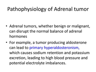 pathophysiology of adrenal .pptx