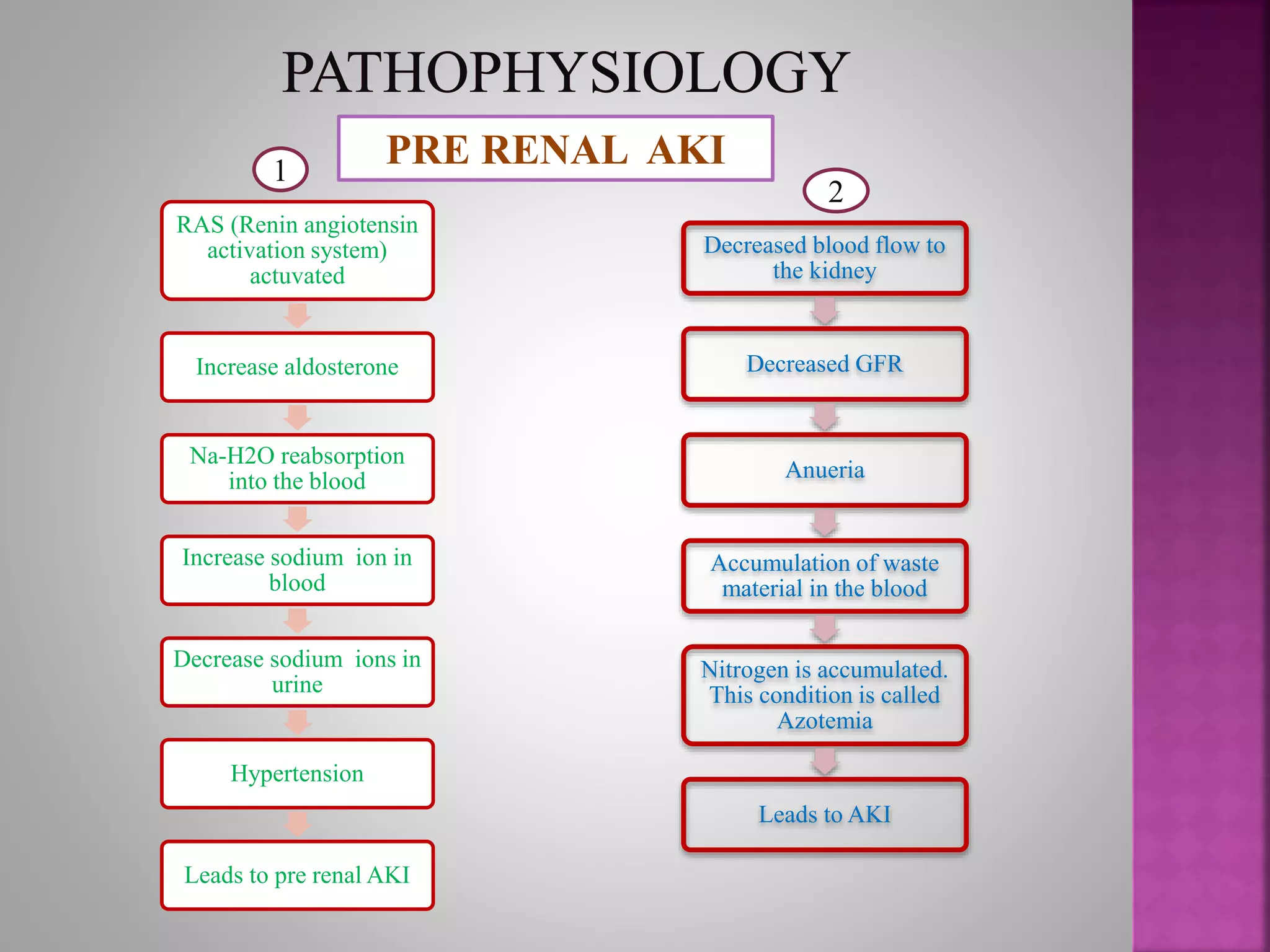 Pathophysiology of Acute Renal Faliure | PPTX