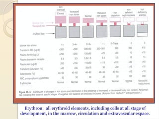 Pathophysiology of anemias geral concepts.pptx