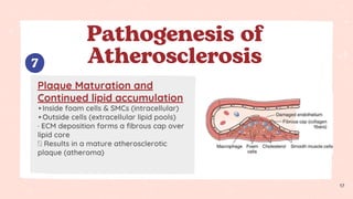 Pathophysiology of Artherosclerosis PPT.pdf
