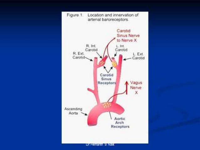 Pathophysiology of asphyxia & drowning | PPTX