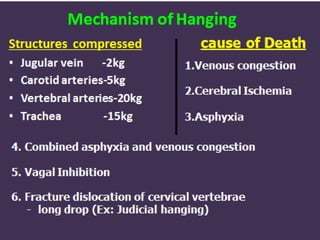 Pathophysiology of asphyxia & drowning | PPTX