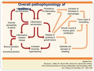 Pathophysiology of asthma | PPTX