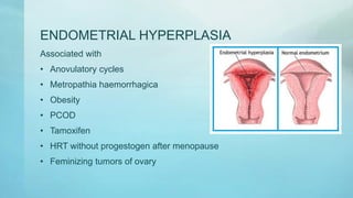PATHOPHYSIOLOGY OF AUB.pptx