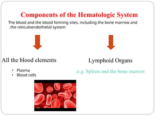 pathophysiology_of_blood_iman._lec21.ppt