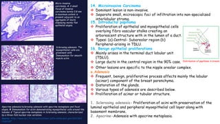 Pathophysiology of breast cancer | PPTX