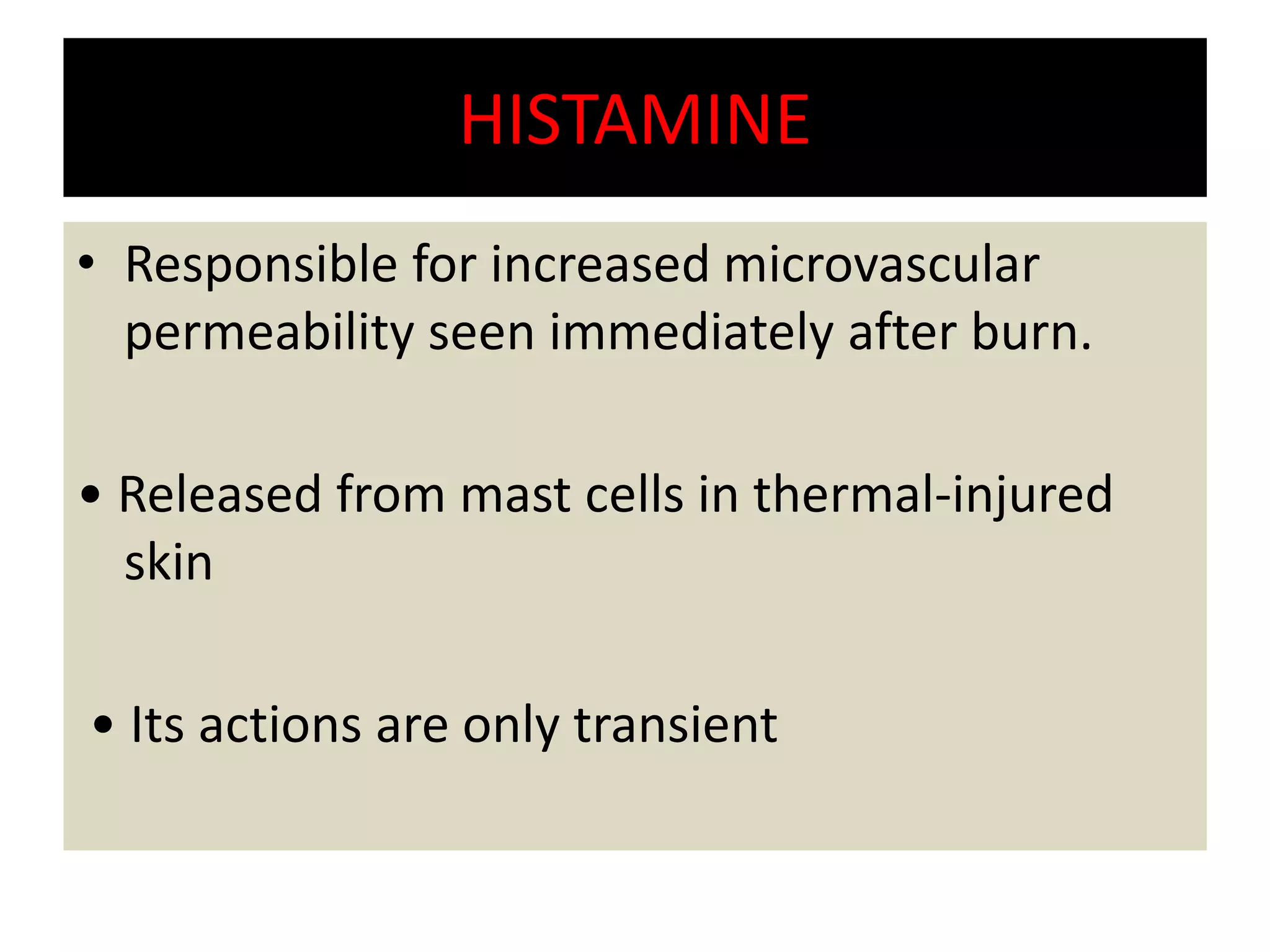 Pathophysiology of burns | PPTX