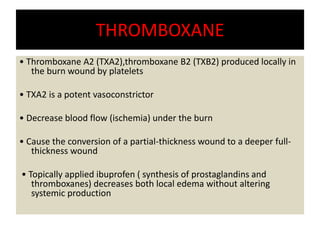 Pathophysiology of burns | PPTX
