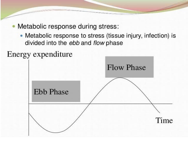 Pathophysiology of burns | PPTX | First Aid | Injuries
