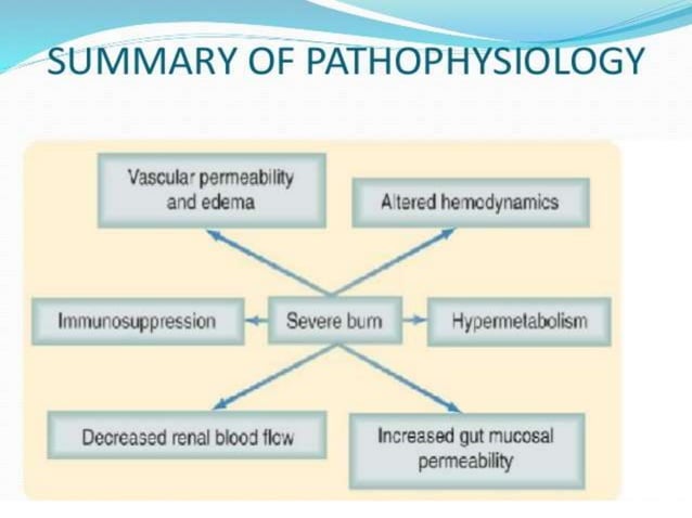 Pathophysiology of burns | PPTX | First Aid | Injuries