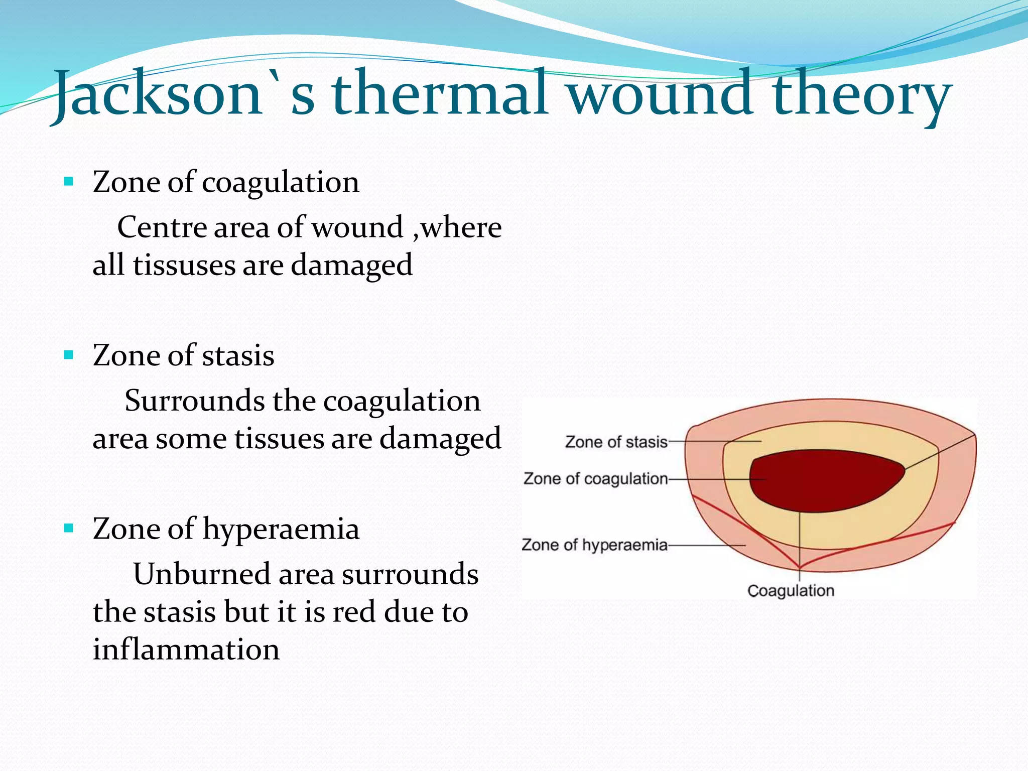 Pathophysiology of burns | PPTX