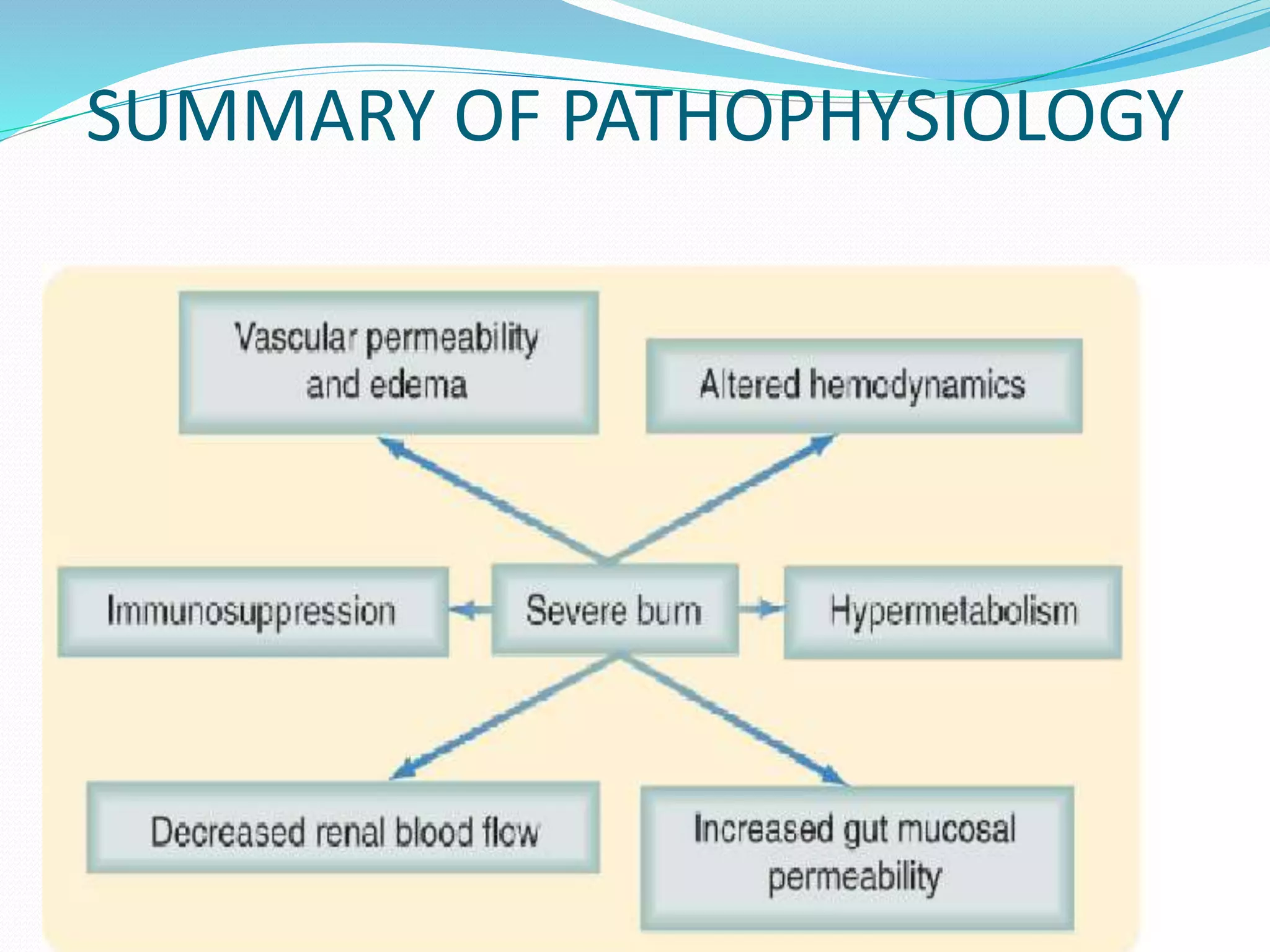 Pathophysiology of burns | PPTX
