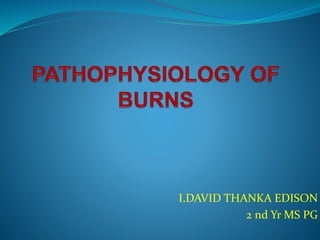 Pathophysiology of burns | PPTX