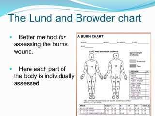 Pathophysiology of burns | PPTX