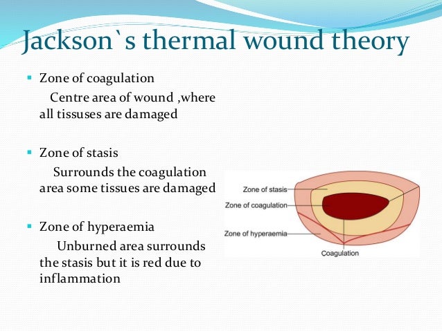 Pathophysiology of burns