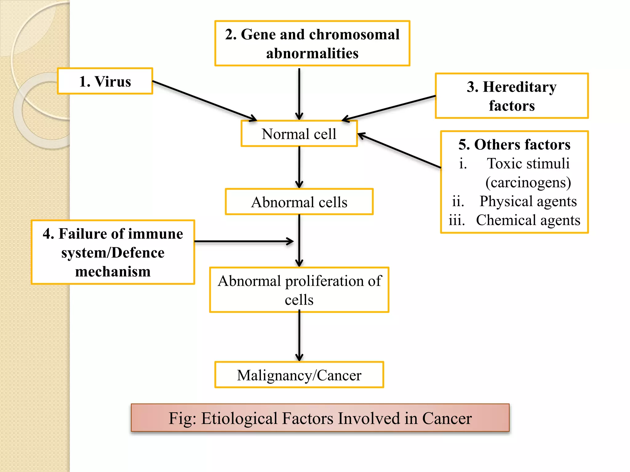 Pathophysiology of cancer | PPTX