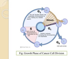 Pathophysiology of cancer | PPTX