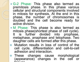 Pathophysiology of cancer | PPTX