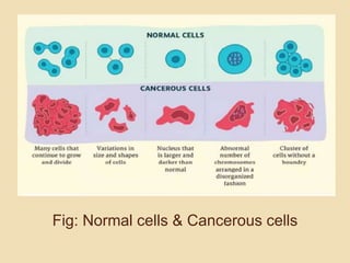 Pathophysiology of cancer | PPTX