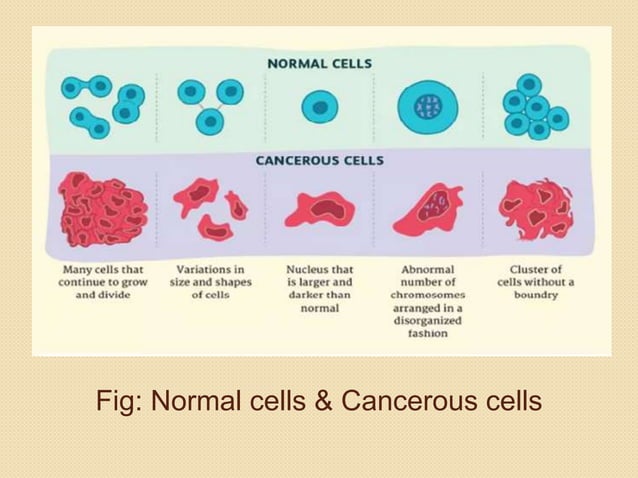 Pathophysiology of cancer | PPTX | Cancer | Diseases and Conditions