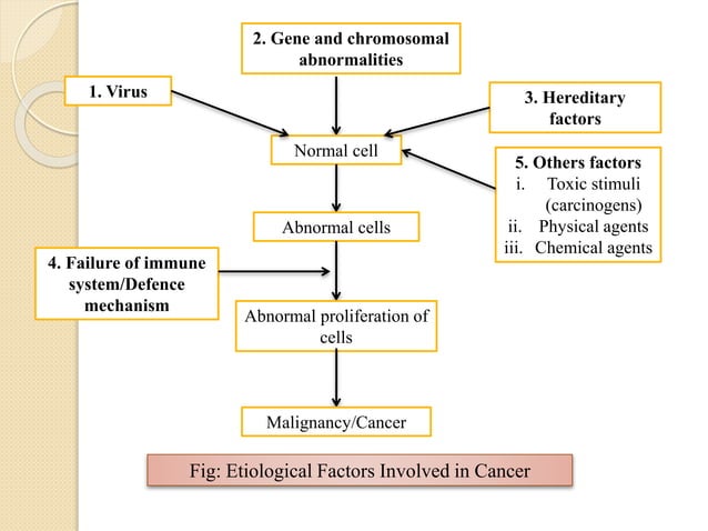 Pathophysiology of cancer