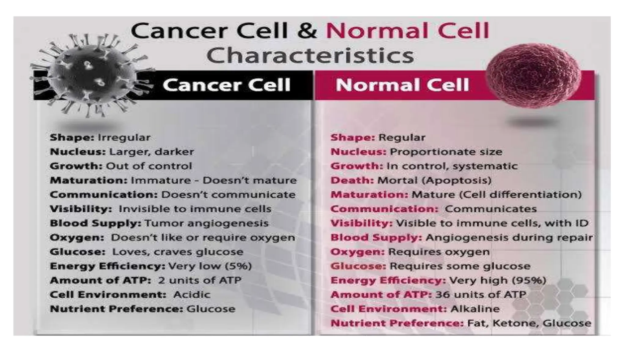 Pathophysiology of cancer and its treatment.pptx