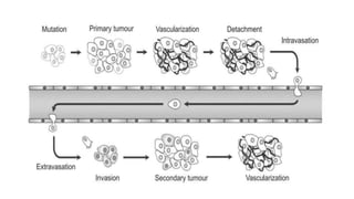 Pathophysiology of cancer and its treatment.pptx