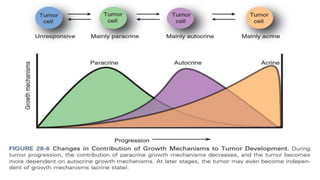 Pathophysiology of cancer spread | PPTX
