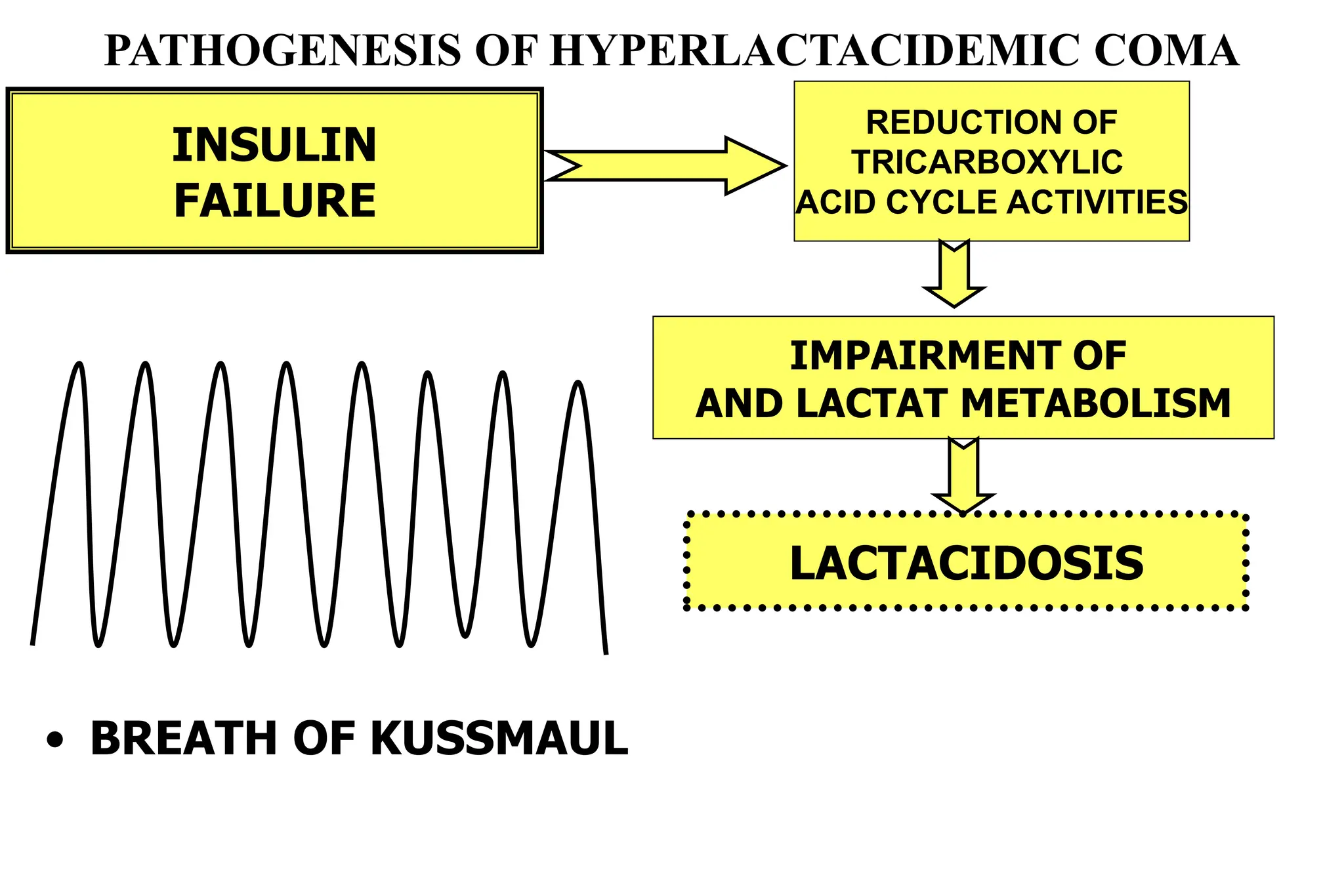 Pathophysiology of carbohydrate metabolism.pdf