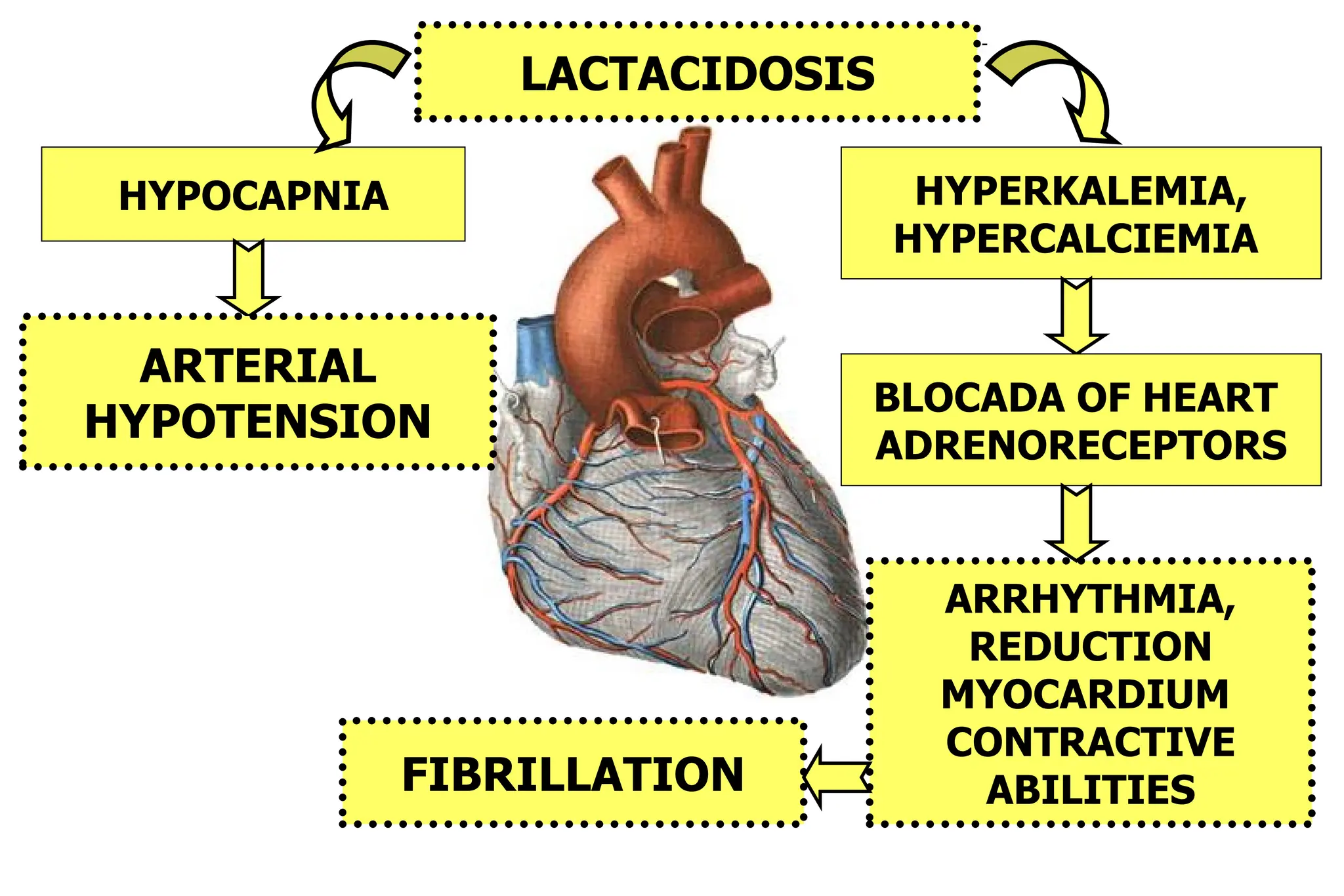 Pathophysiology of carbohydrate metabolism.pdf