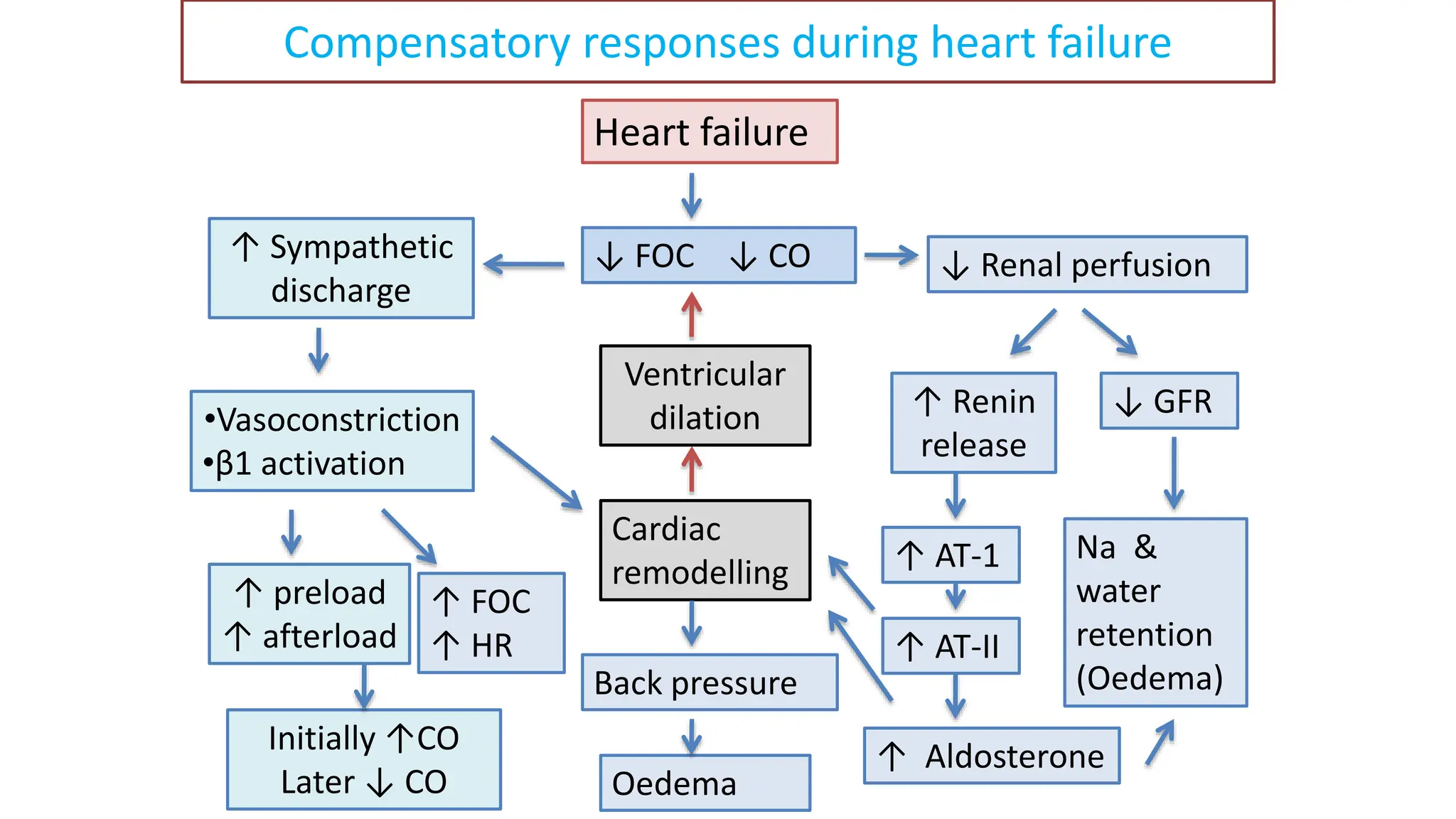 Pathophysiology of CHF PABITRAAAAAAAAppt | PPT